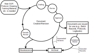 The Effective Date of Documents – Investigations of a Dog