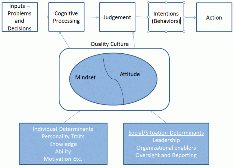 Mindsets and Attitudes – Investigations of a Dog
