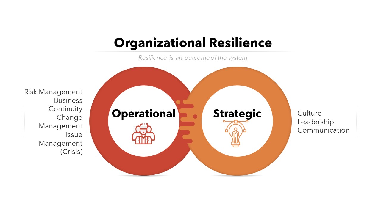 What Is The Risk And Resilience Model - Infoupdate.org