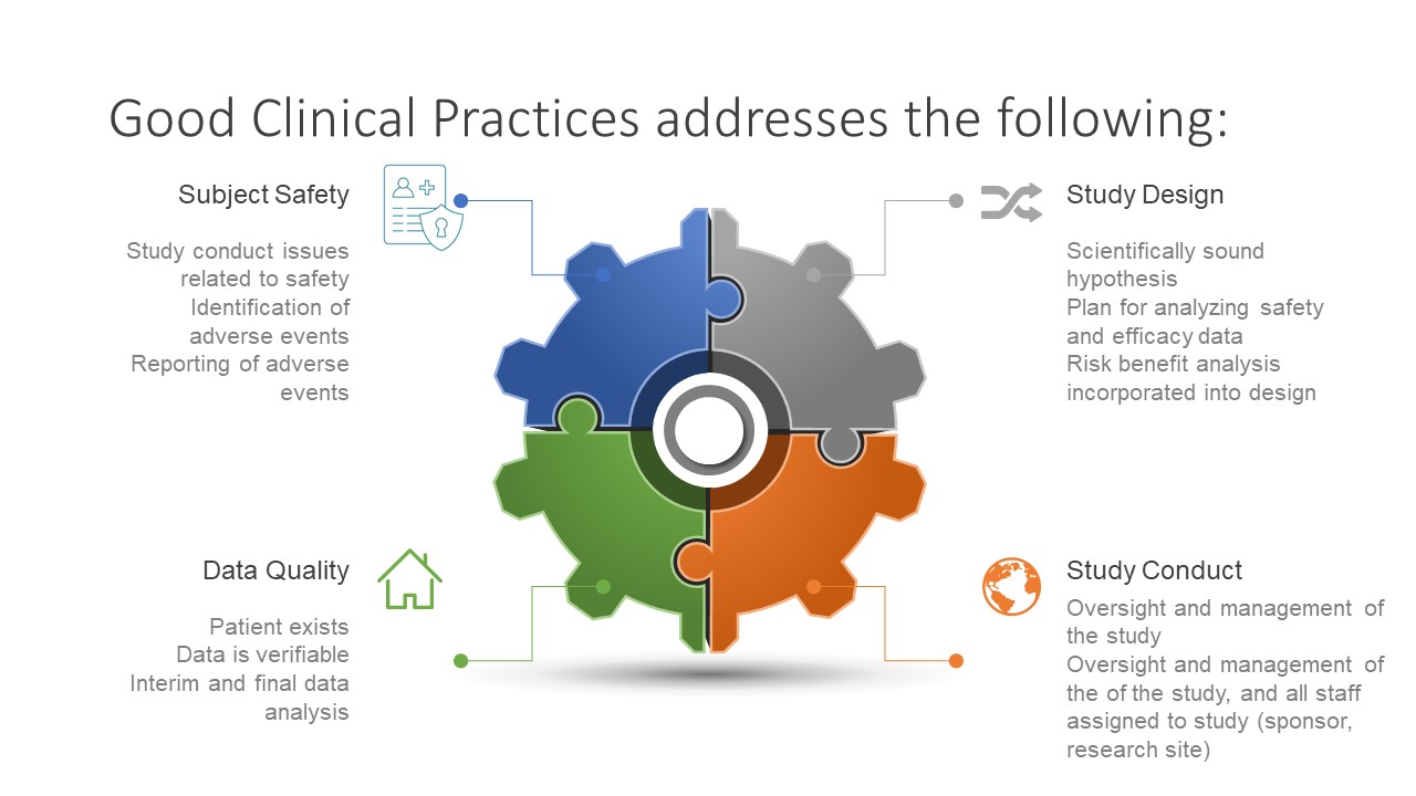 Risk Management in the Clinical Study – Investigations of a Dog