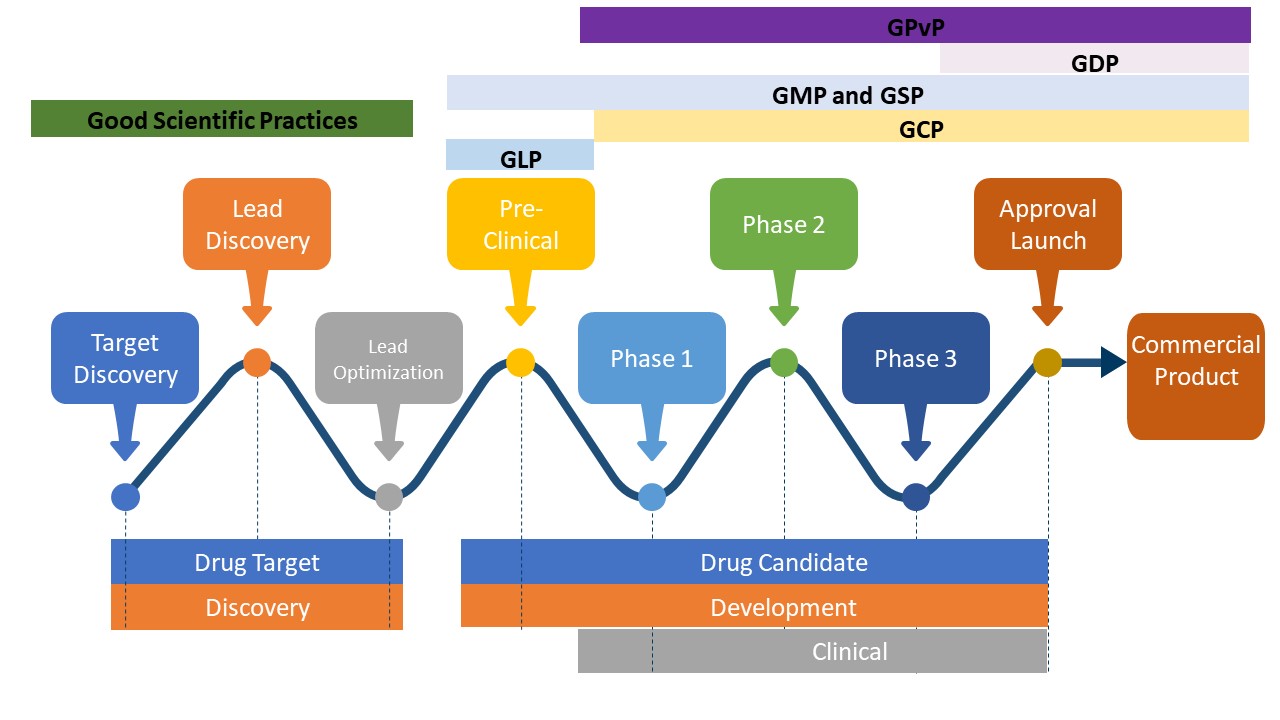 Phase Appropriate – An Unpacking – Investigations of a Dog