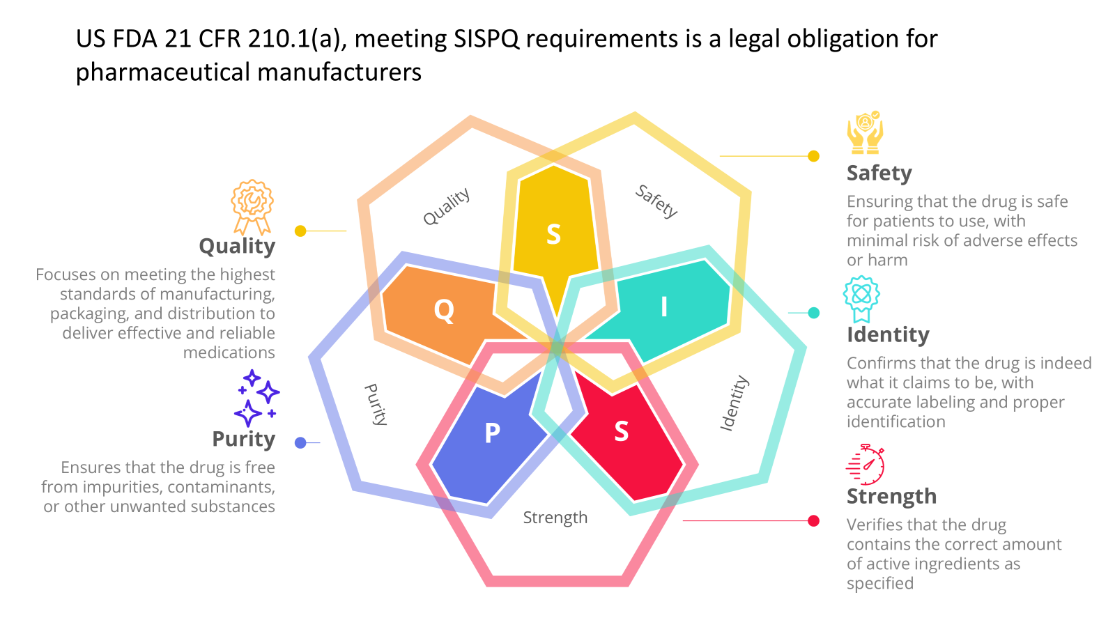 GMP Critical System – Investigations of a Dog