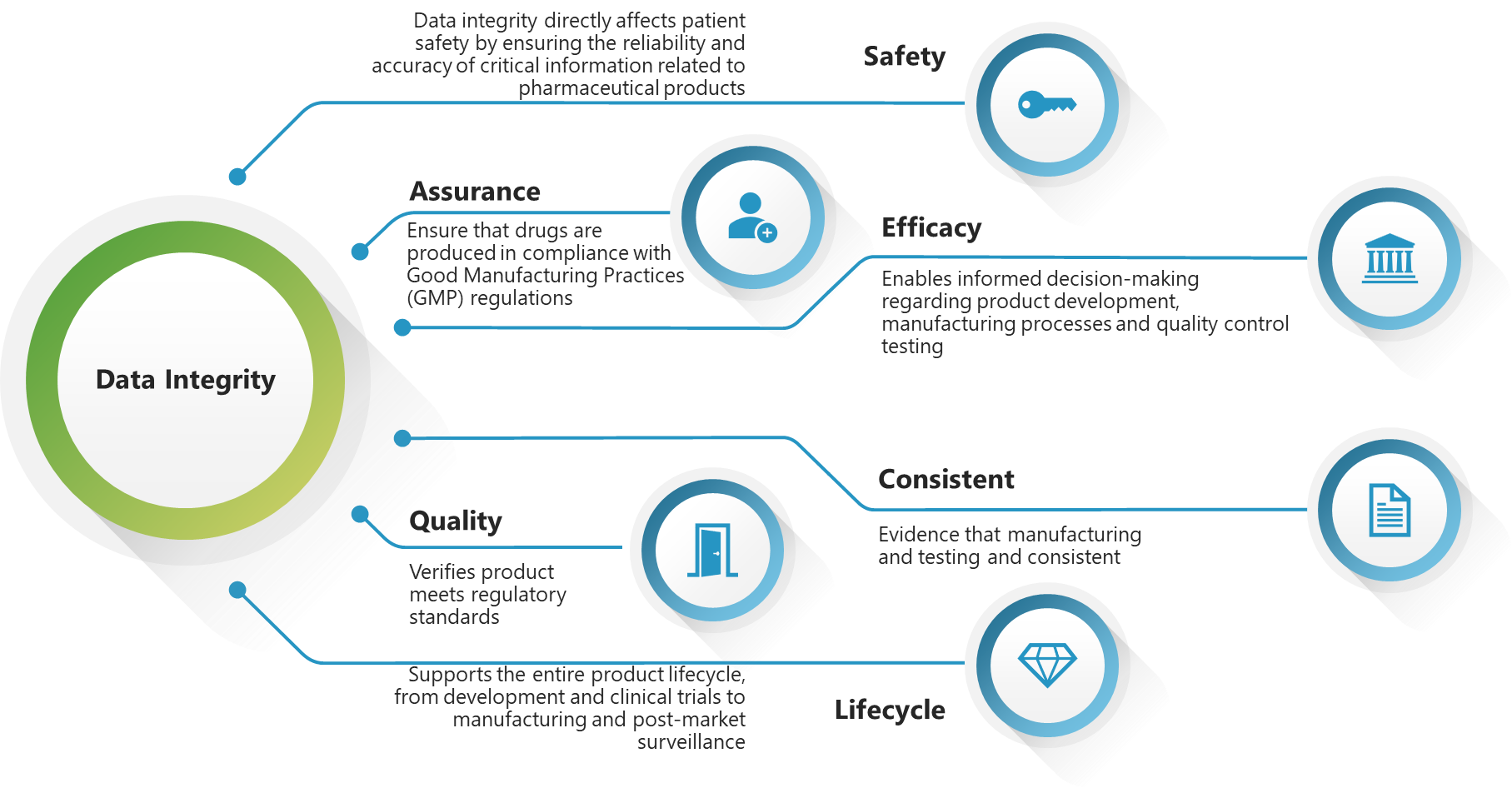 Evolution of GMP Documentation: Analyzing the Transformative Changes in ...